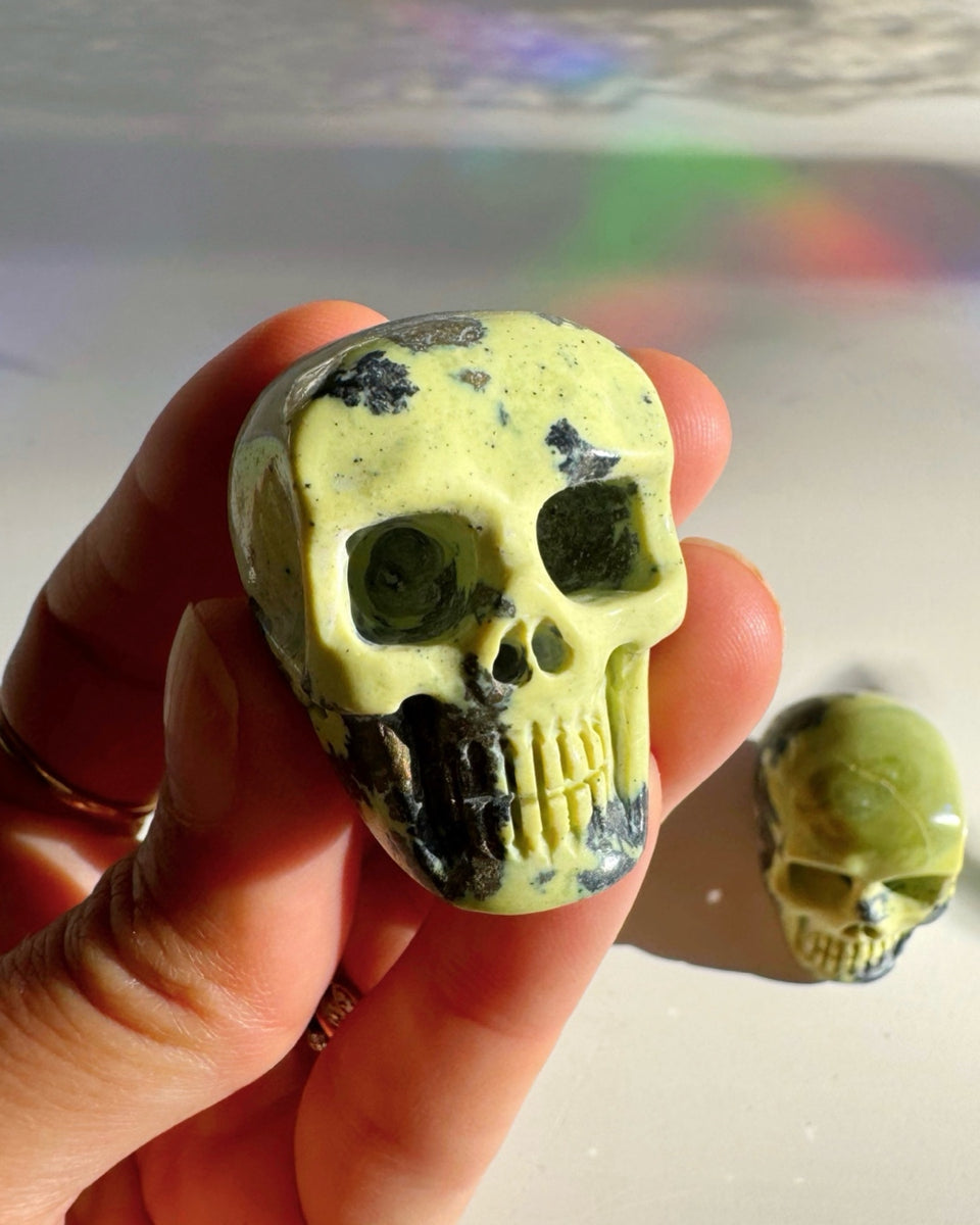 Serpentine Skull – Baltic Mermaid