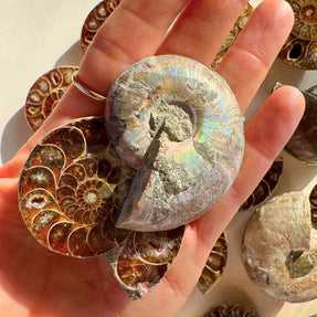 Baltic Mermaid - Crystals • Handmade Gemstone Jewelry • Rainbows